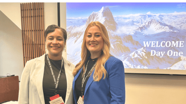 Process-Driven Executive Coaching & Leadership Development | The Sherpa ...